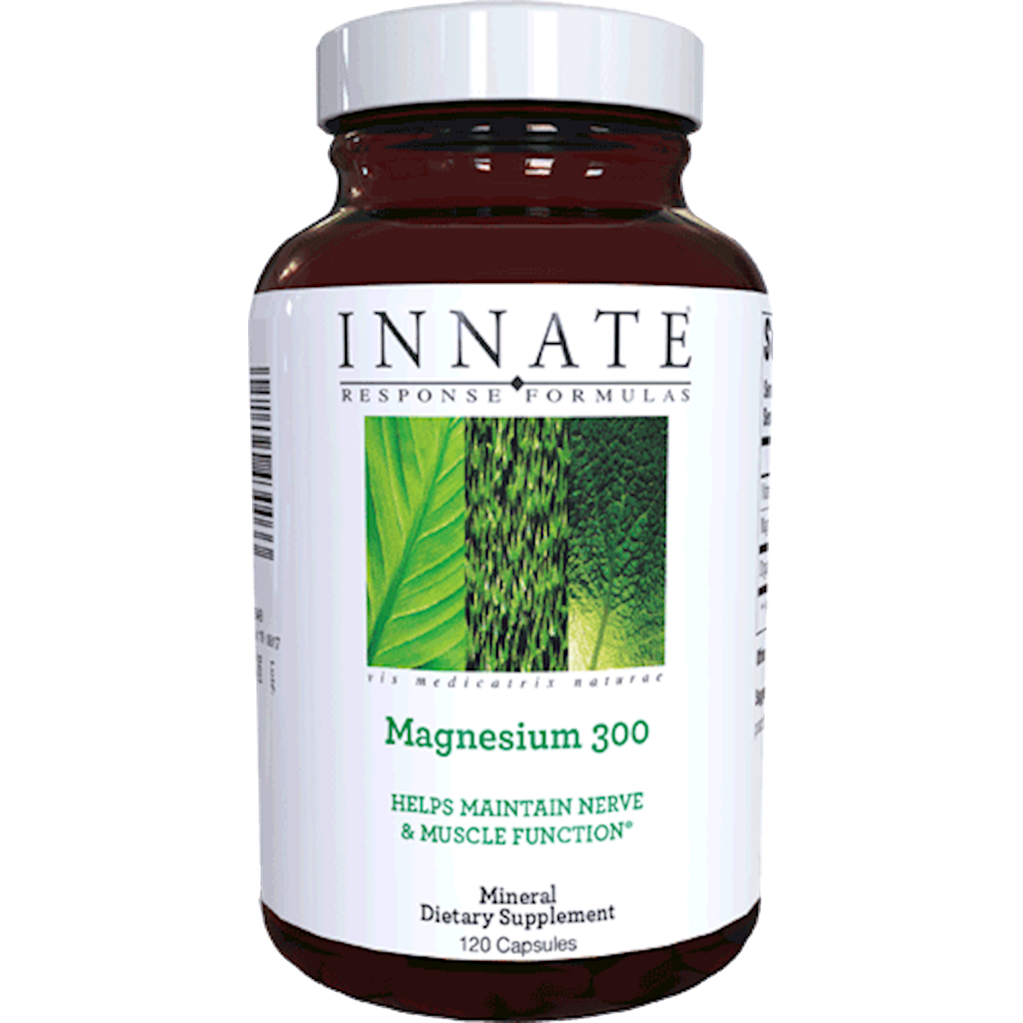 Magnesium 300 – Expert Nutrition Center