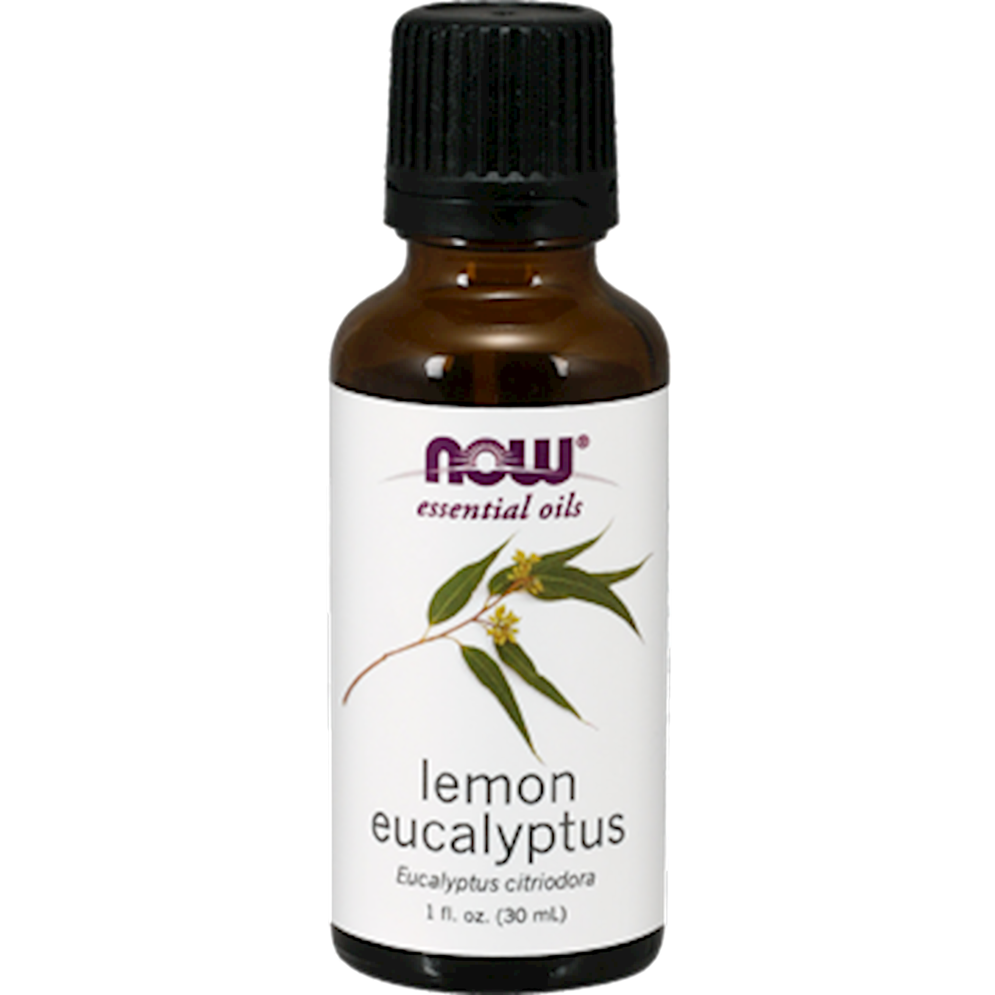Lemon Eucalyptus (citridora) Oil – Expert Nutrition Center