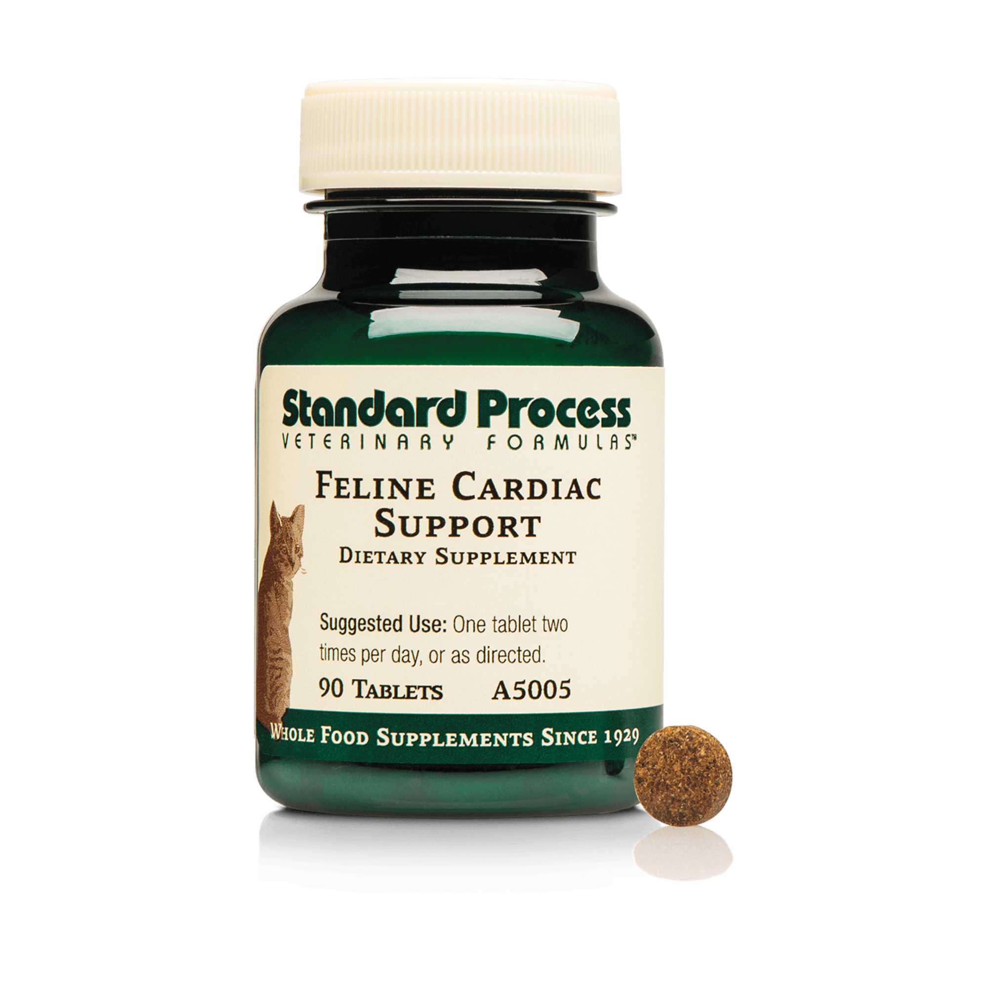 Feline Cardiac Support – Expert Nutrition Center