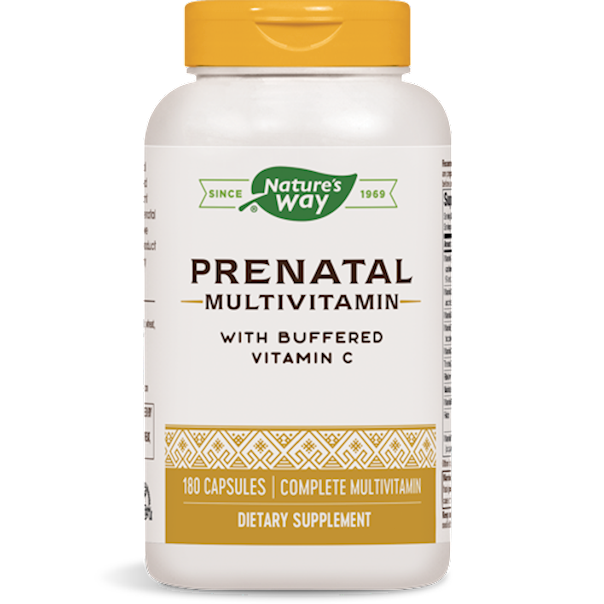 Prenatal Multi-Vitamin